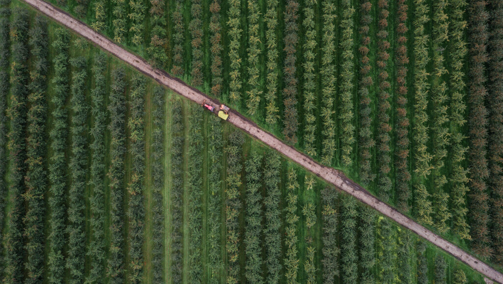 Methodology Development - IFVI