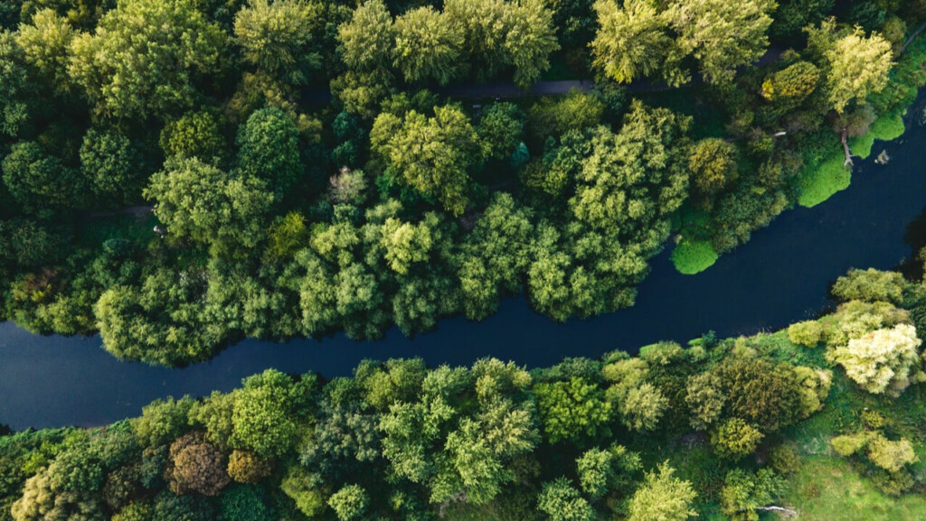 Data Platforms - IFVI